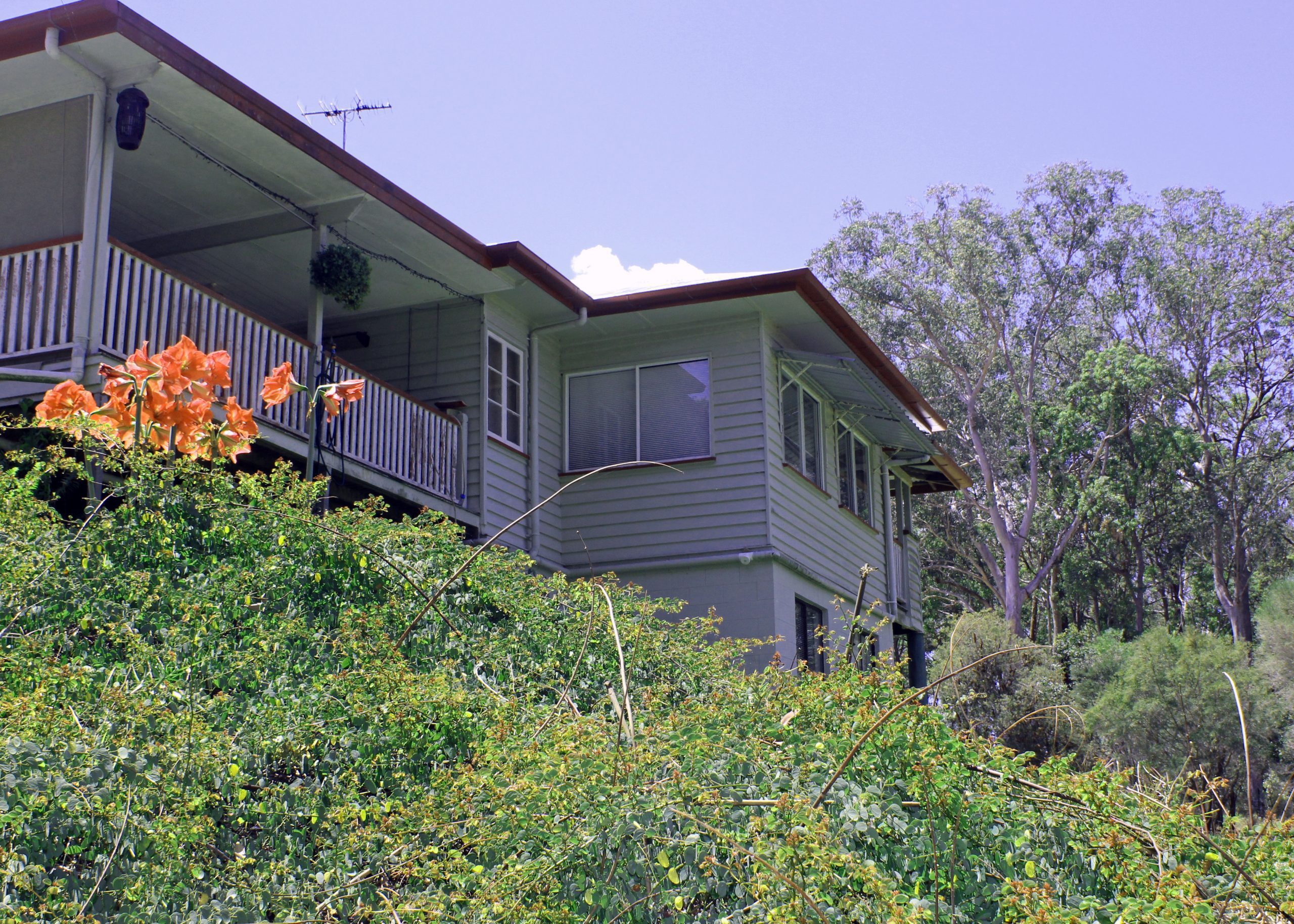 170-212 Schrodter Road, WAMURAN QLD 4512 | Young Property Group